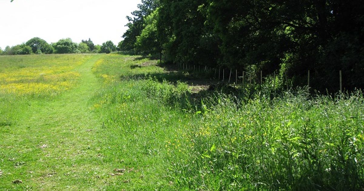 5 miles at Shawford (Earlier start) - Ramblers